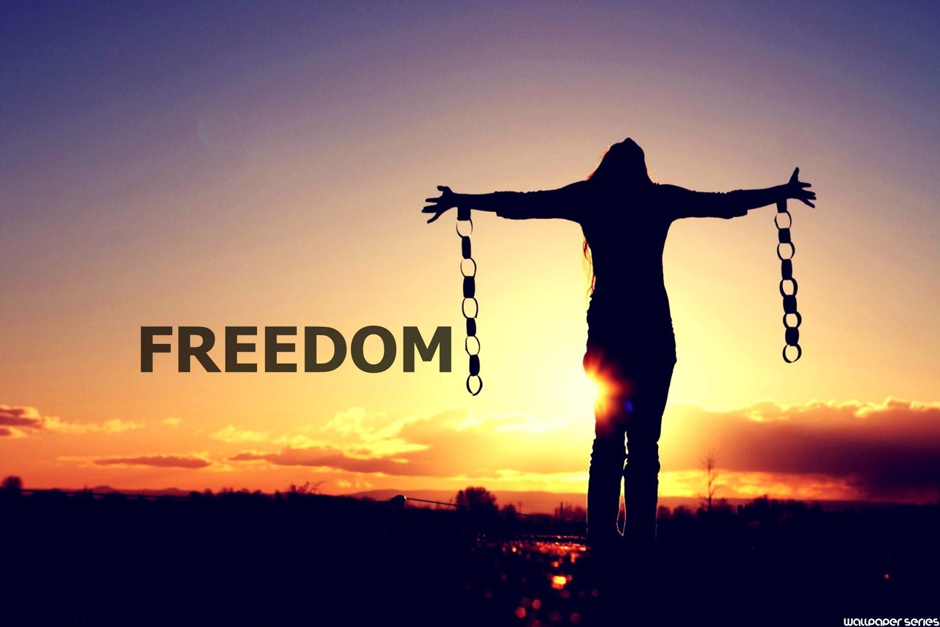 The 4 Levels Of Freedom For Software Developers KoolPHP The 4 Levels Of Freedom For Software Developers KoolPHP